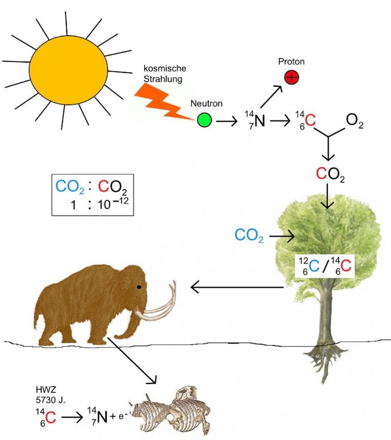AB EA_2 Wie ein Krimi - Leichen und Isotope / Radiocarbonmethode