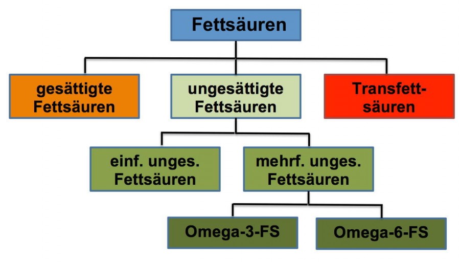 Kap. 2.2 Fette - nicht grundsätzlich böse