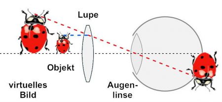 FW 7 Lupe und Stereolupe (Binokular) FW 7 Lupe und Stereolupe (Binokular)